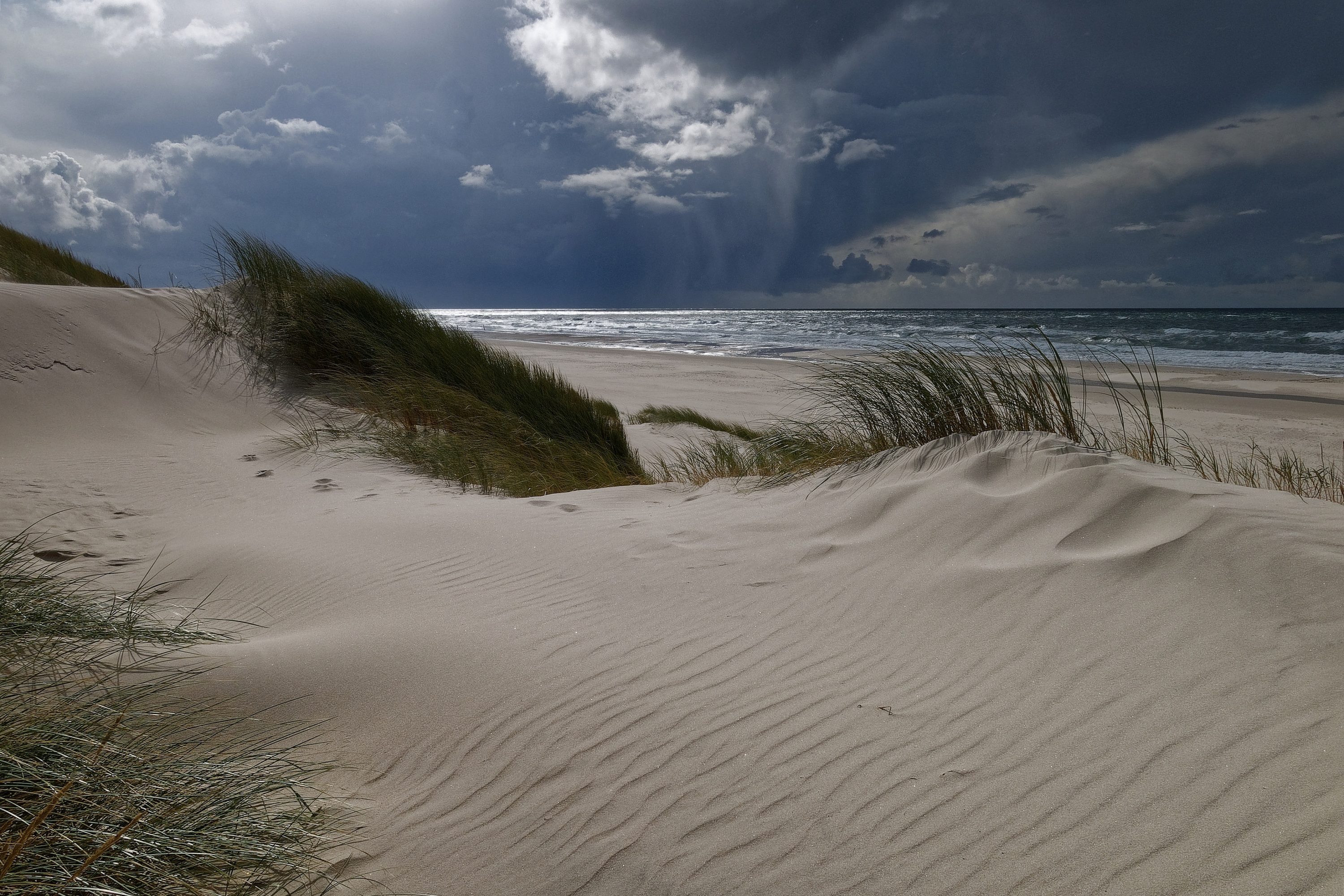 Gå på opdagelse på stranden med en iPhone app | Strand Detektor
